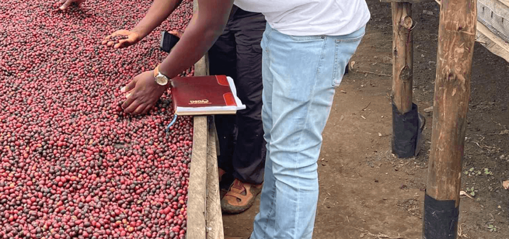 Purchasing Coffee Beans from Farmers - Just Know Your Coffee Cup