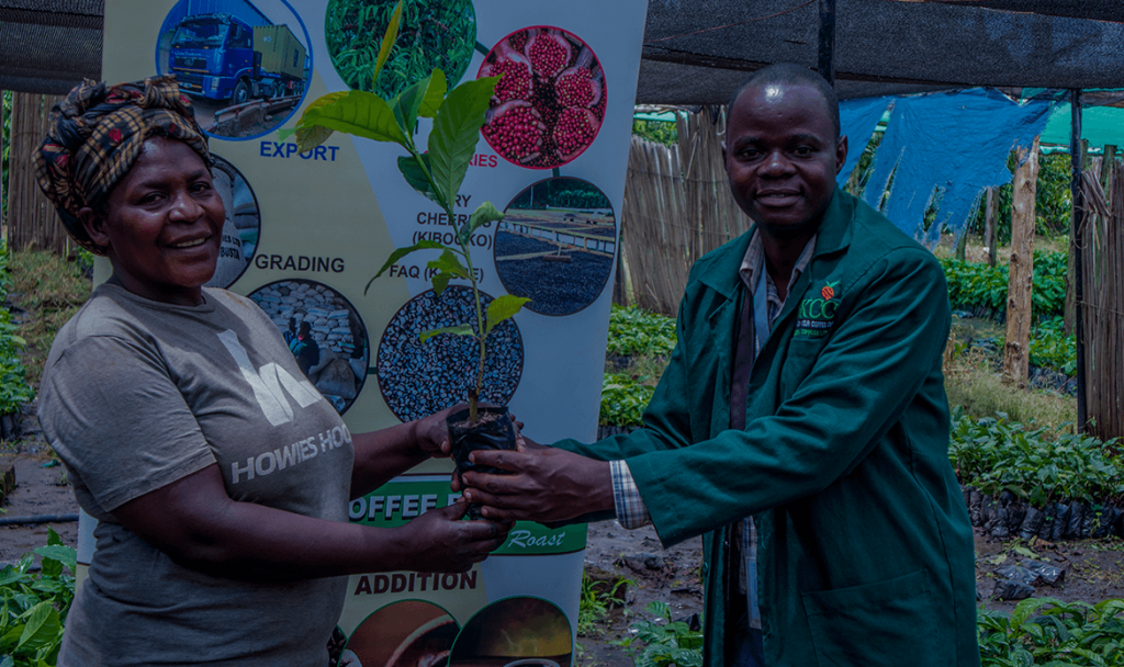 JKCC distributes coffee seedlings to Coffee farmers